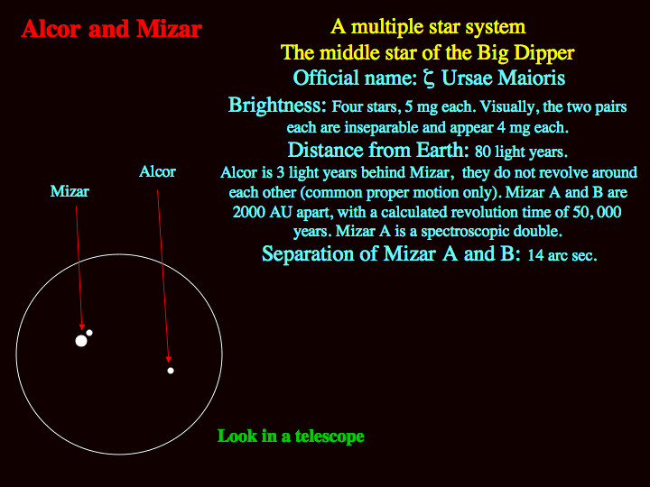 Objects to observe in the laboratory
