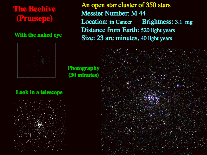 Objects to observe in the laboratory